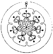 Planetary seal - AnthroWiki