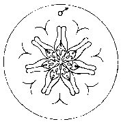 Planetary seal - AnthroWiki